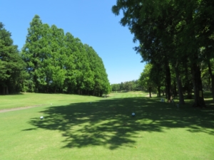 ゴルフのパット、NG行為は？安定性は“目線の位置”で決まる／三觜喜一 | ページ 2 | bizSPA!