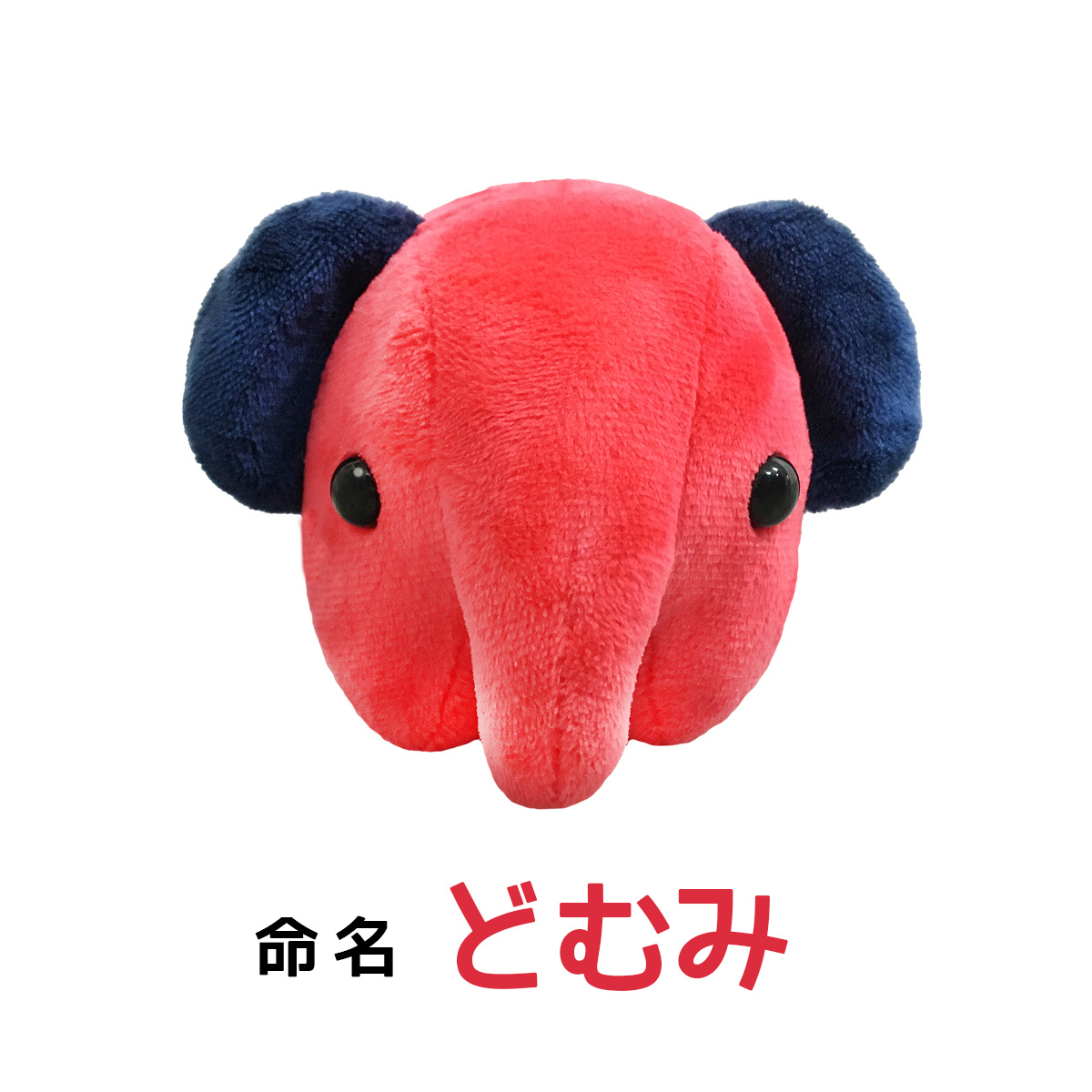 【ドムドムハンバーガーに聞いた】「どむみ」って誰！？全国に27店舗しかないけど人気？その秘密に迫る | ページ 4 | bizSPA!