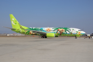 50年以上も同じモデルが飛び続けるトンデモ飛行機ボーイング737の奇跡 | ページ 3 | bizSPA!