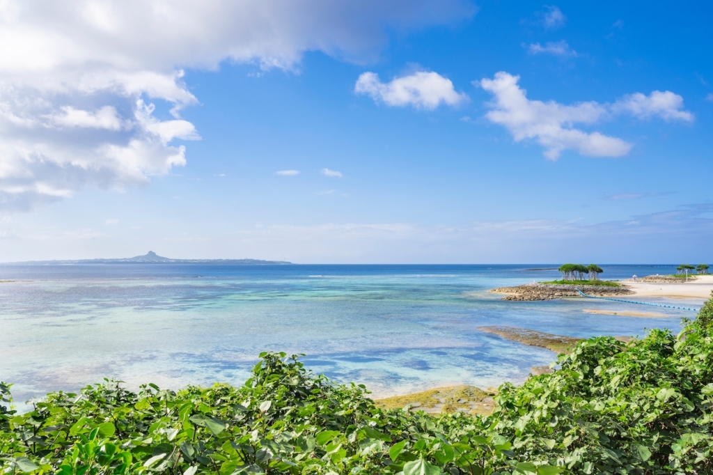 「またお食事でも、ぜひ！」社交辞令のつもりで送ったLINEがきっかけで南国へ異動したワケ | bizSPA!