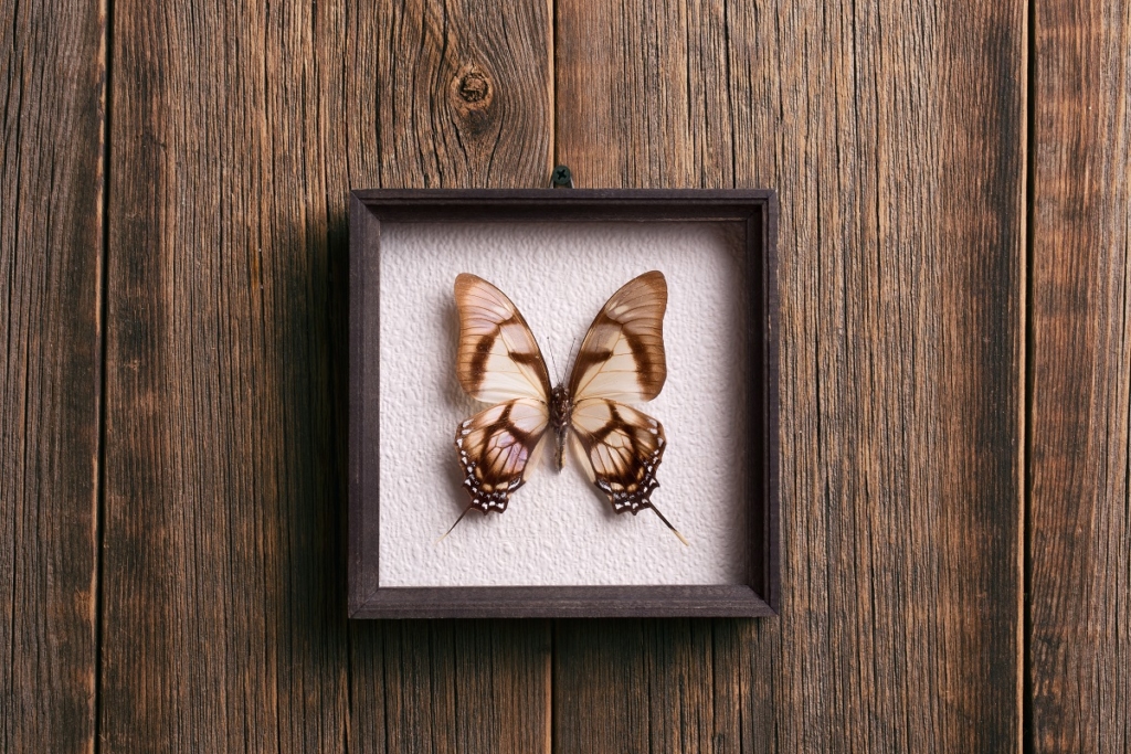 「推し活」は幸福感を高めるとの研究も。マニアの趣味では終わらない推し活の最前線 | bizSPA!