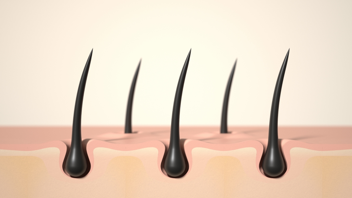 米で大ブームの育毛促進剤が日本で承認【25年前の今日の出来事】 | bizSPA!