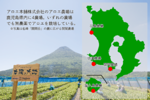 「の」の字マッサージでも出ない！そんな悩みが一発でスルッと解決！アロエドリンクが世代を超えて人気な理由とは？ | bizSPA!