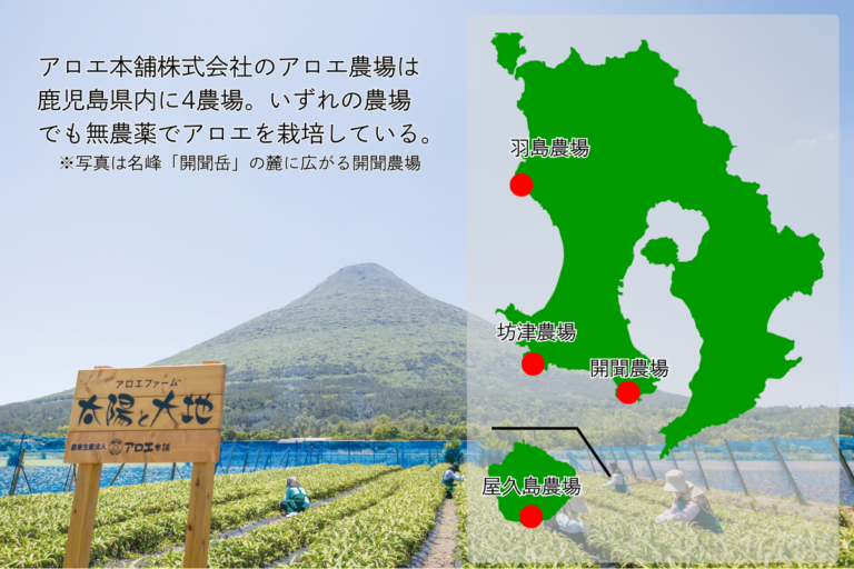 「の」の字マッサージでも出ない！そんな悩みが一発でスルッと解決！アロエドリンクが世代を超えて人気な理由とは？ | bizSPA!